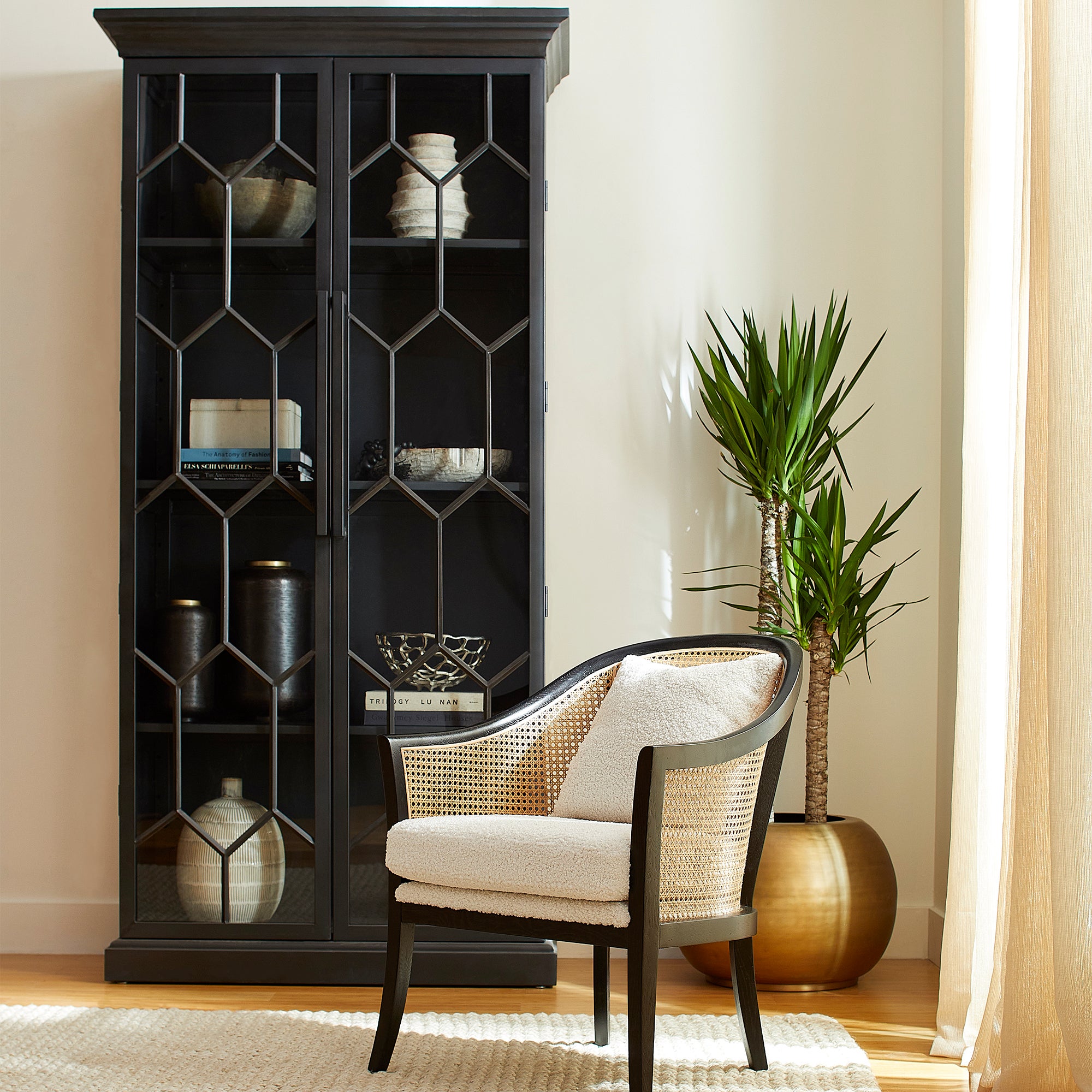 Ixora Cabinet | Black - Cyan Design