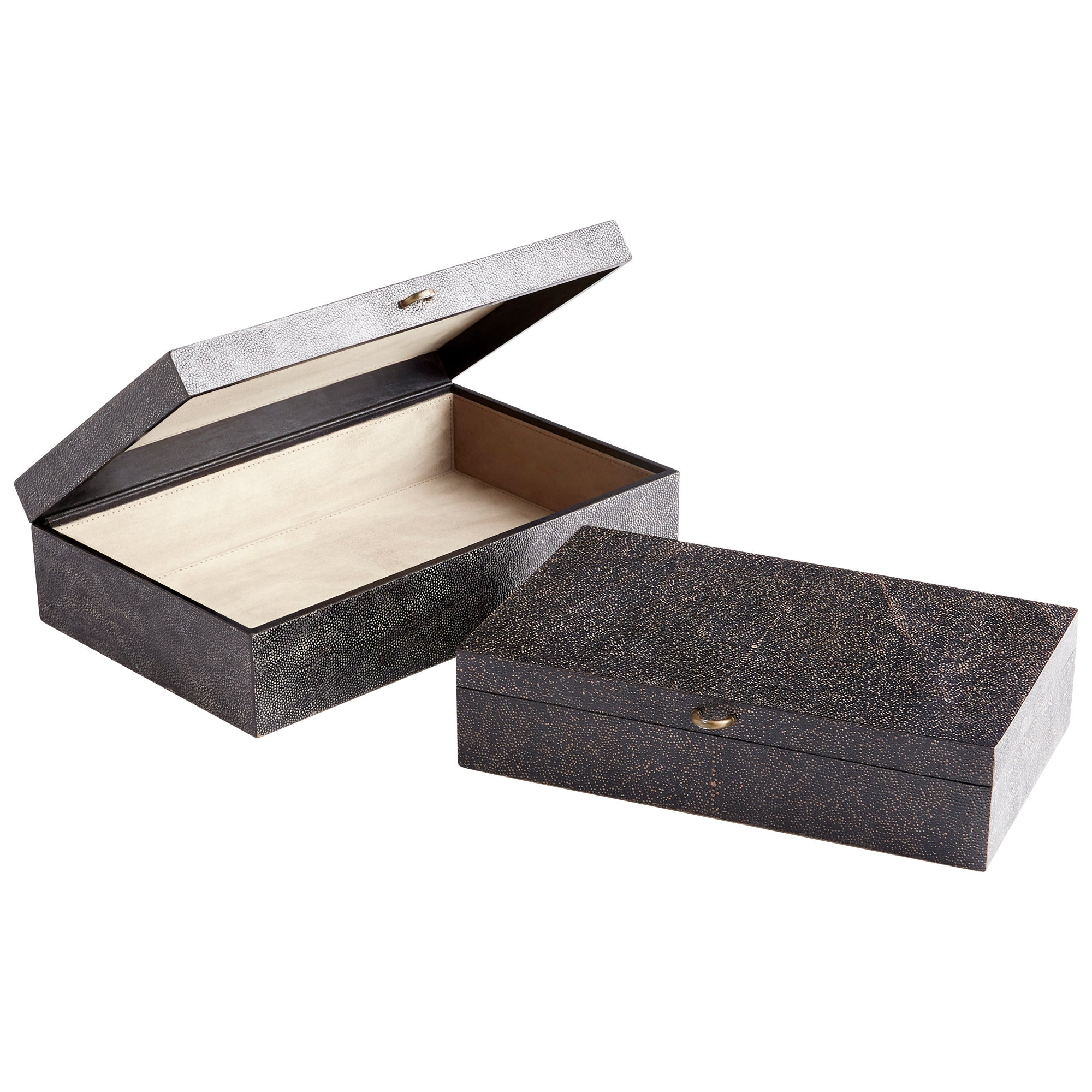 Puma Container | Black And Bronze – Large - Cyan Design