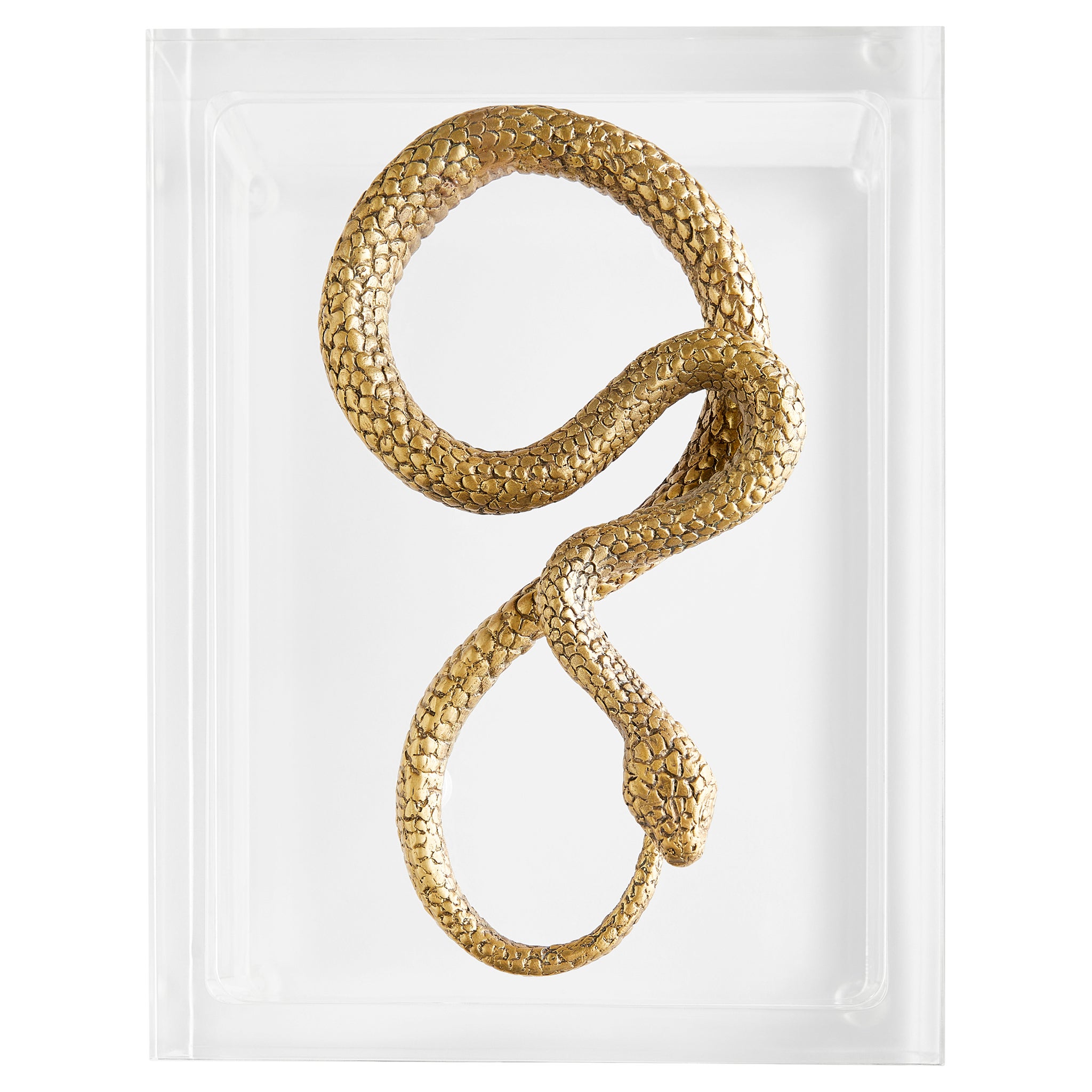 Snake Box Designed by Thom Filicia | Clear | Brass - Cyan Design