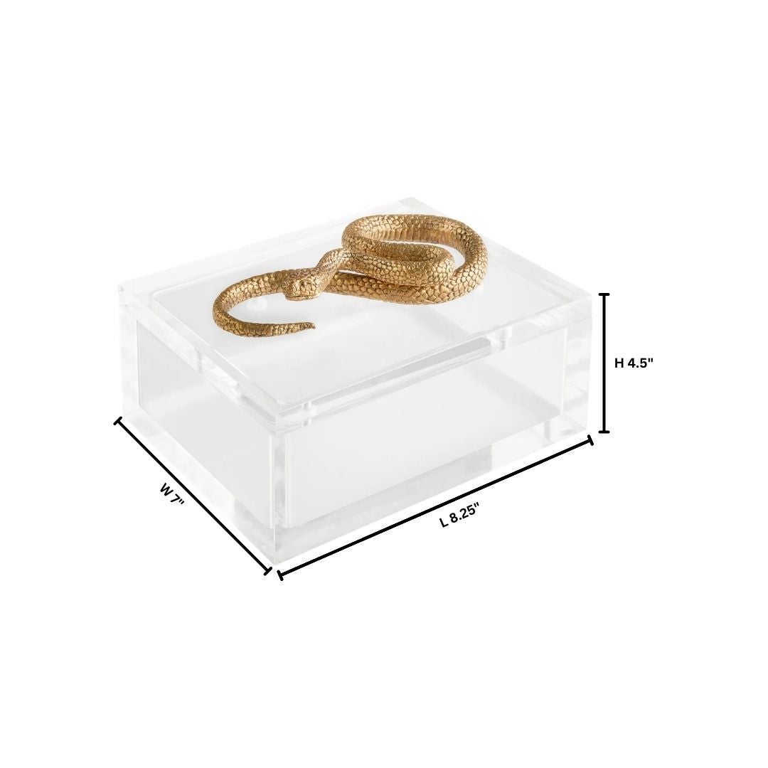 Snake Box Designed by Thom Filicia | Clear | Brass - Cyan Design